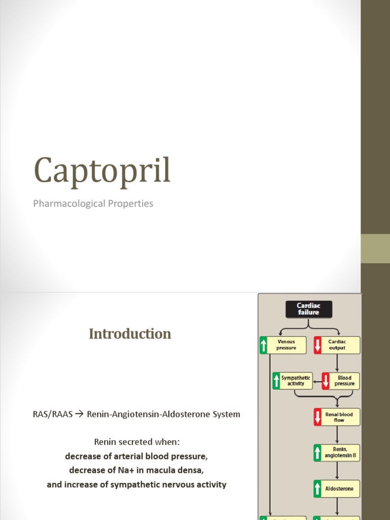 Captopril: An Angiotensin-Converting Enzyme Inhibitor for Hypertension ...