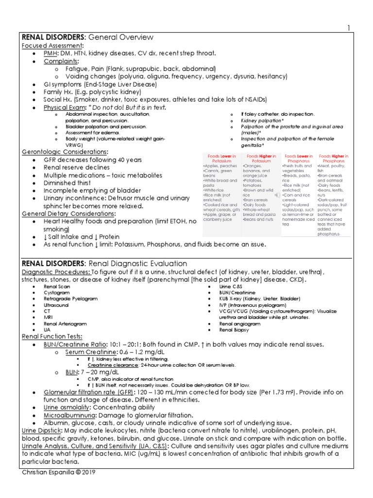 Renal and Urinary Disorders | PDF | Urinary Incontinence | Urinary ...