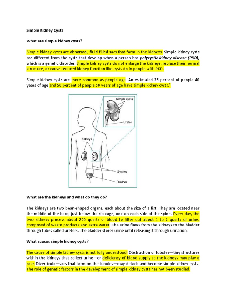 Simple Kidney Cysts What Are Simple Kidney Cysts? | PDF | Medical ...