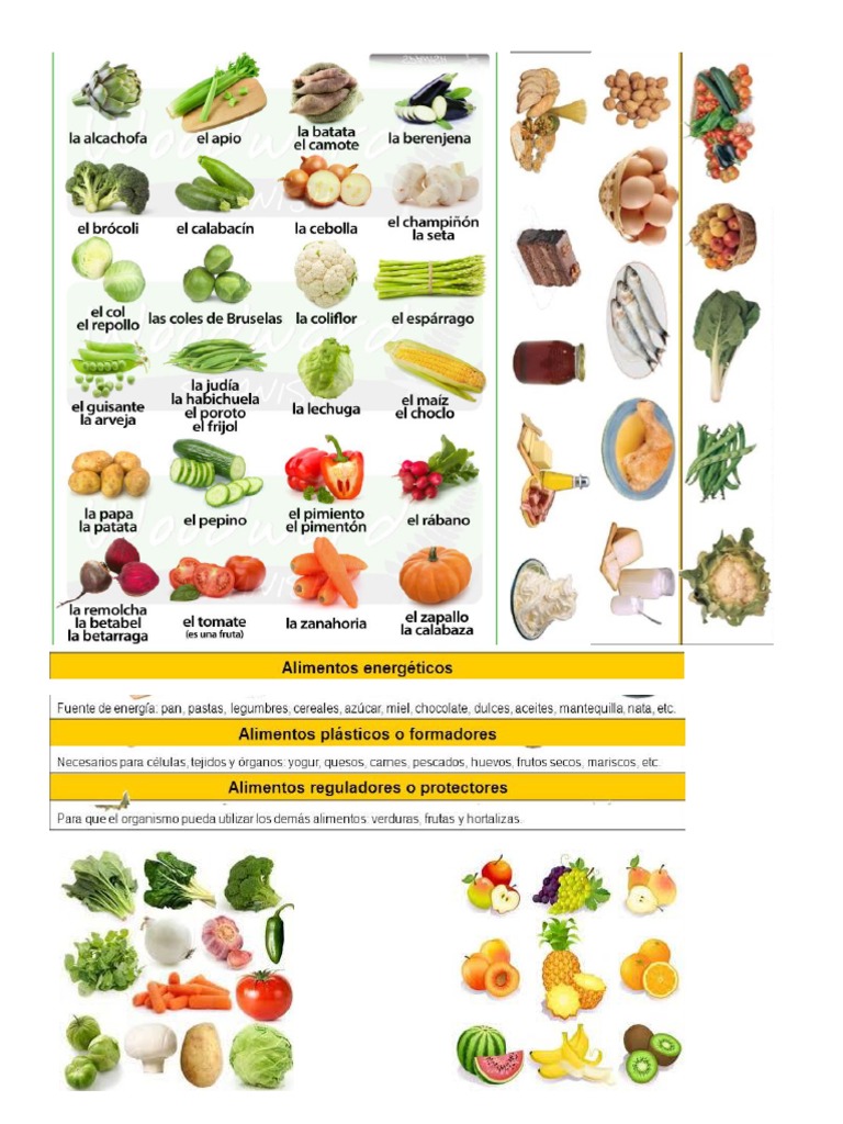 Tres Tipos de Alimentos | PDF