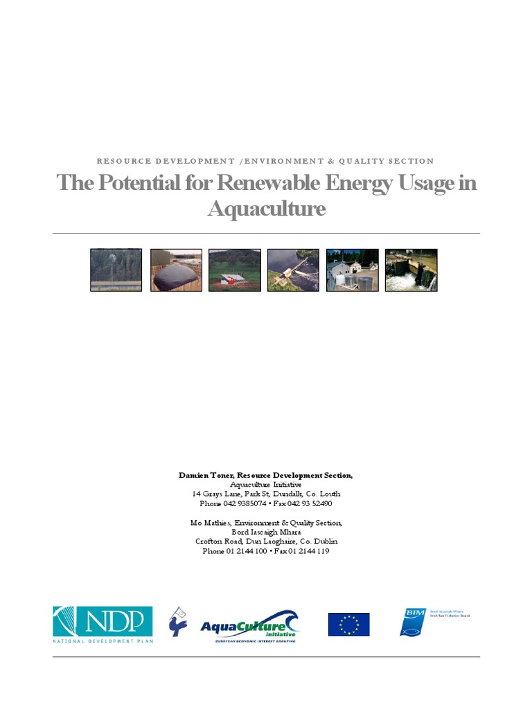 Renewable Energy Report | PDF | Wind Power | Wind Turbine