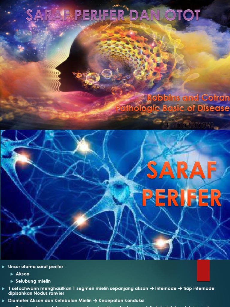 Saraf Perifer FS | PDF | Pengembangan Diri | Sains & Matematika