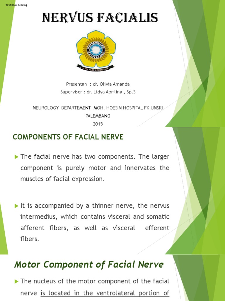 Nervus Facialis: Presentan: Dr. Olivia Amanda Supervisor: Dr. Lidya ...