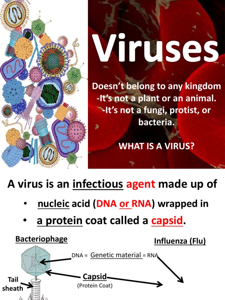 Virus Vs Cells Notes PPT IPC | PDF | Virus | Infection