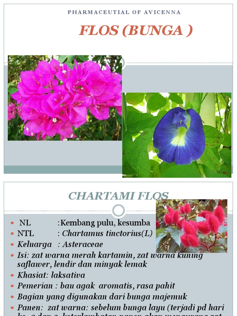 Flos (Bunga) | PDF | Kesehatan Holistik | Sains & Matematika