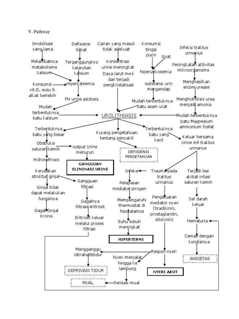 Pathway Uro | PDF