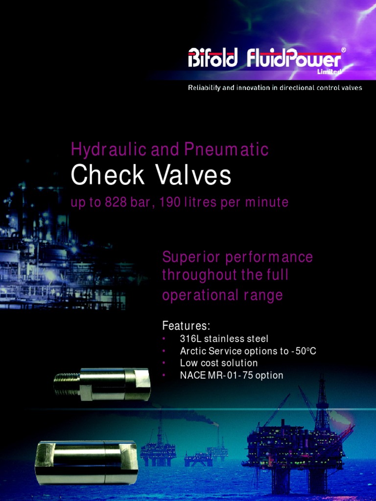 Check Valves | PDF | Valve | Fluid Dynamics