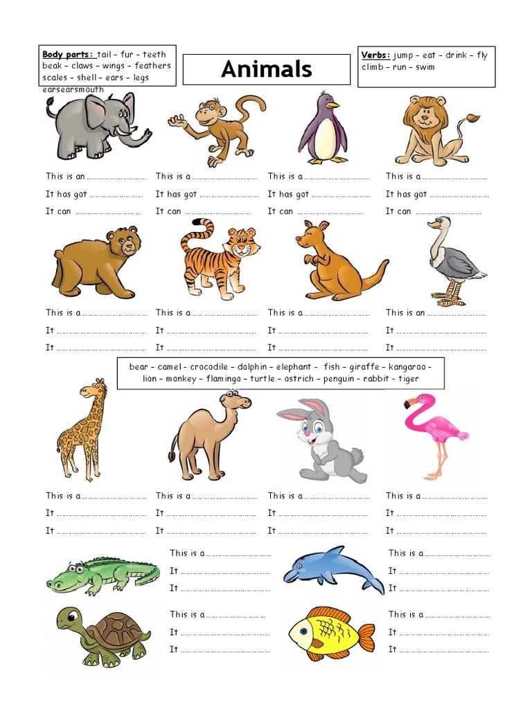 Animals Body Parts and Actions - Esl | PDF | Organisms | Nature