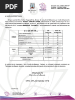 Plan de Trabajo Apf | PDF