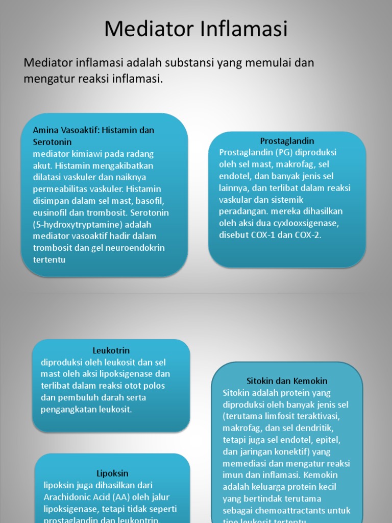 Mediator Inflamasi | PDF