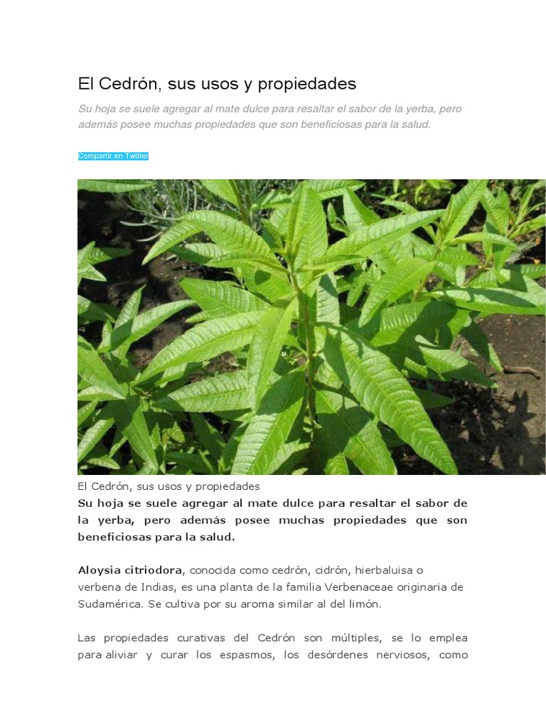 El Cedrón | PDF