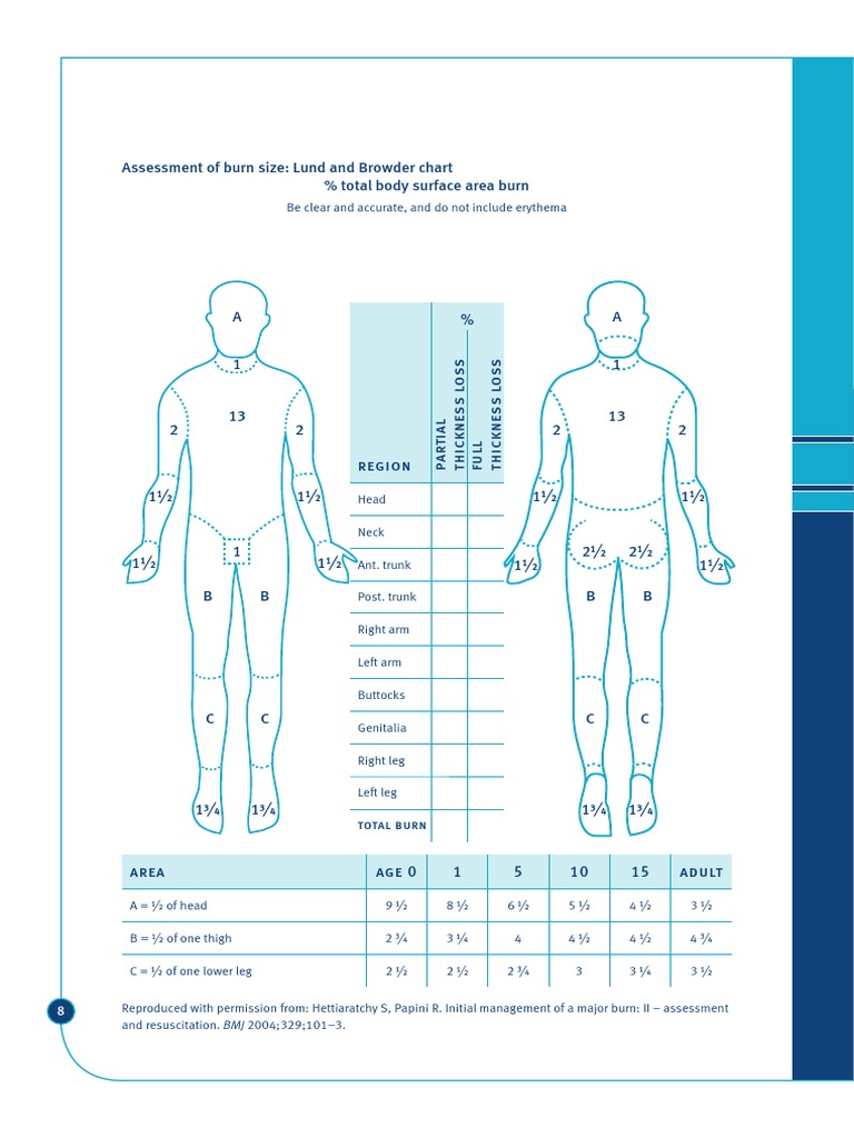 Lund and Browder Chart | PDF | Burn | Skin