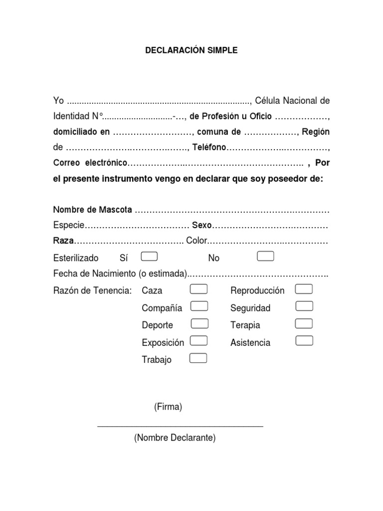 Declaracion Simple Poseedor | PDF