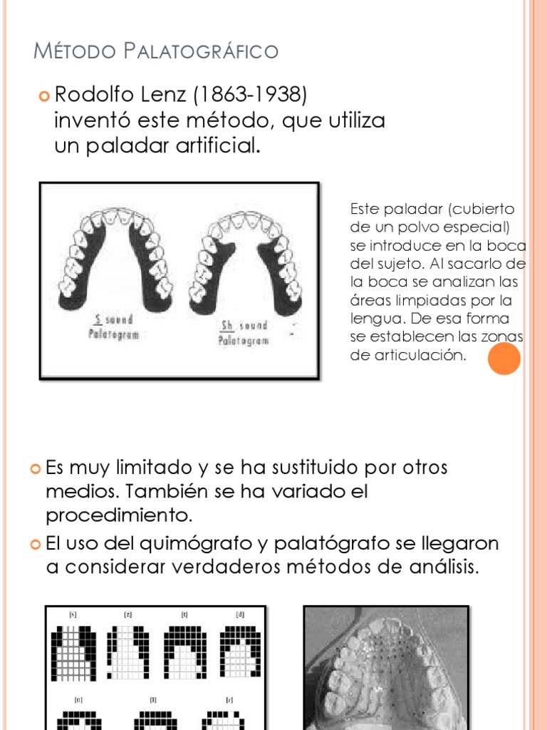 Método Palatográfico | Descargar gratis PDF | Fonética | Lingüística