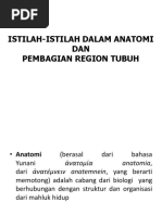 Terminologi Dasar Anatomi Tubuh Manusia | PDF | Kajian Bahasa Asing