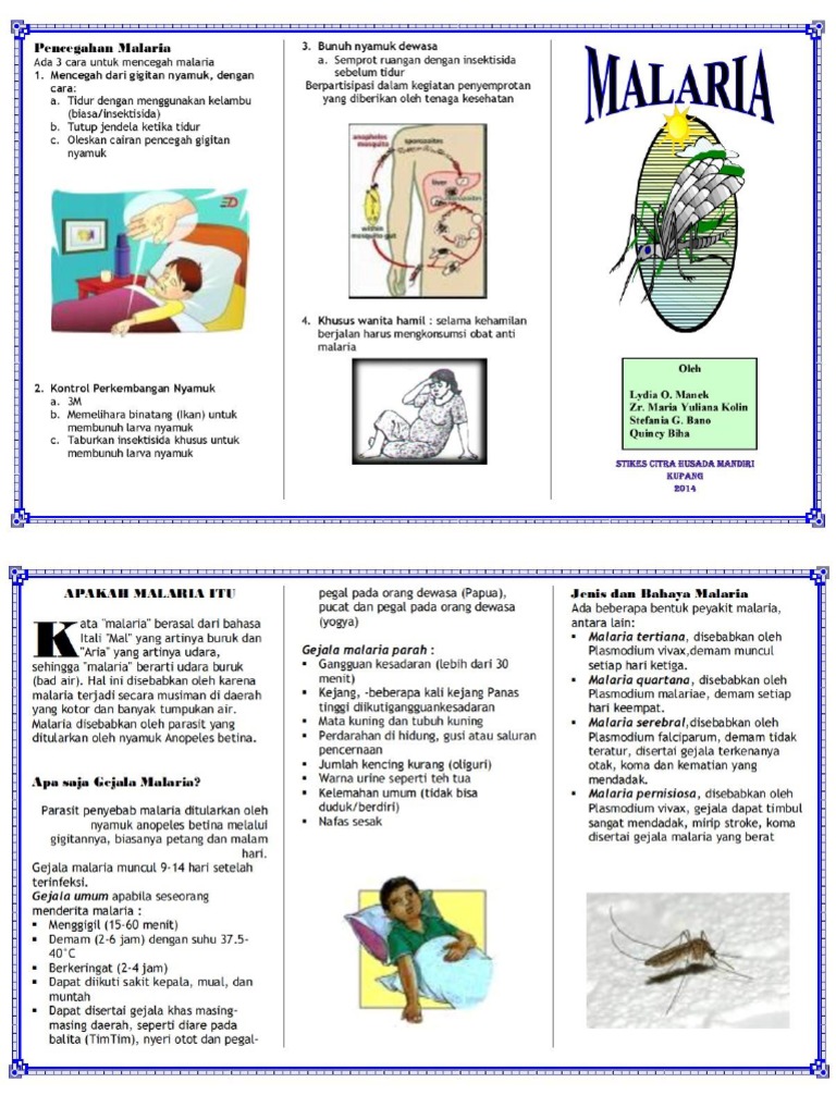 Pamflet Malaria | PDF