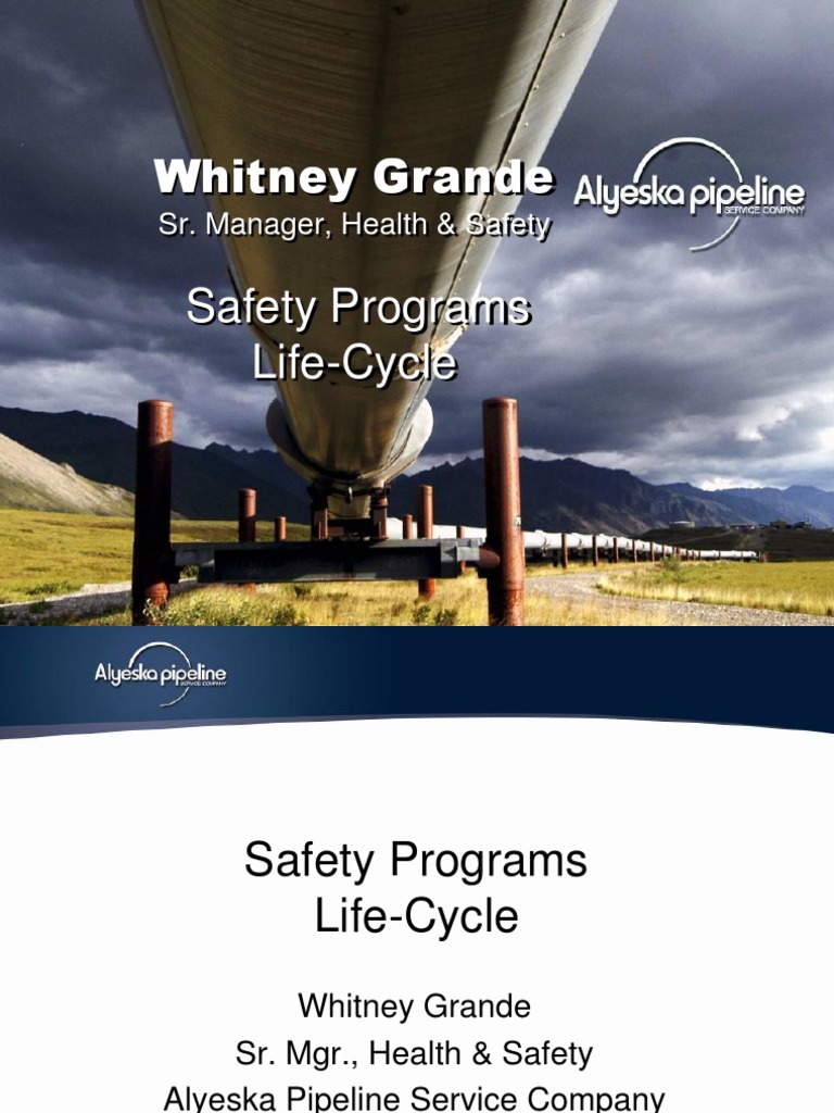 Safety Programs Life Cycle | PDF | Risk Management | Safety