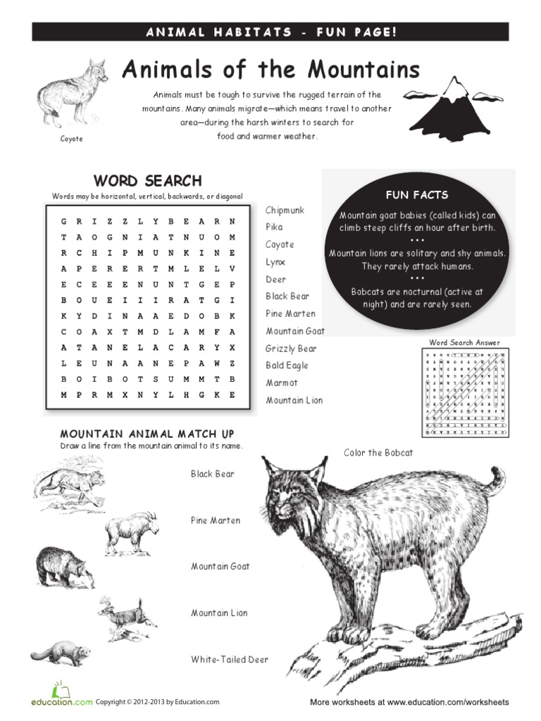 Animal Habitats Mountains | PDF | Mammals Of North America | Nature