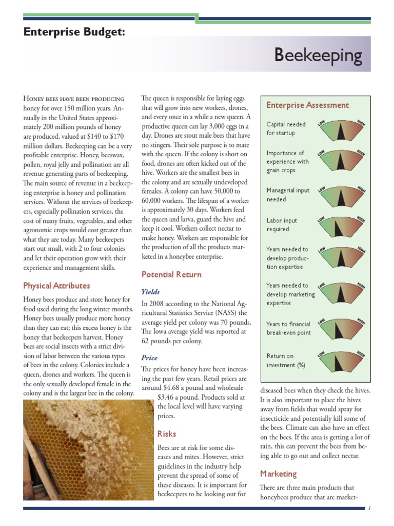 Budget Sheet Bee Keeping | PDF | Beekeeping | Honey Bee