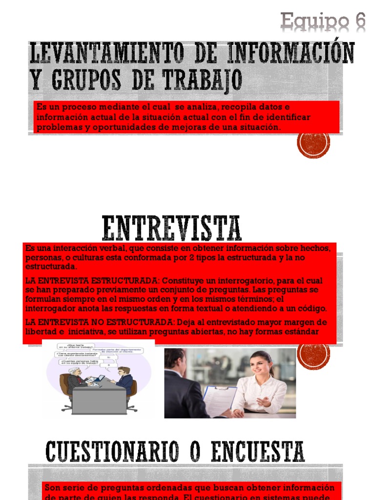 Levantamiento de Información y Grupos de Trabajo | PDF | Cuestionario | Información
