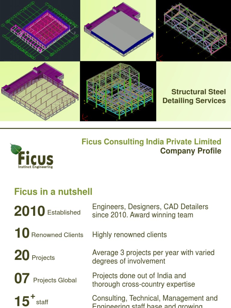 Ficus Introduction | PDF | Autodesk | Consultant