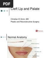 Cheiloplasty and Palatoplasty | PDF | Lip | Face