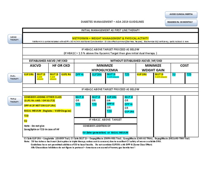2019 ADA Diabetes Management Guidelines | PDF | Endocrine | Diabetes