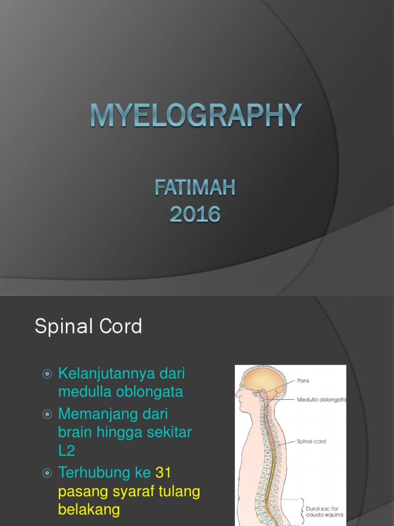 7@myelografi | PDF | Human Anatomy | Central Nervous System