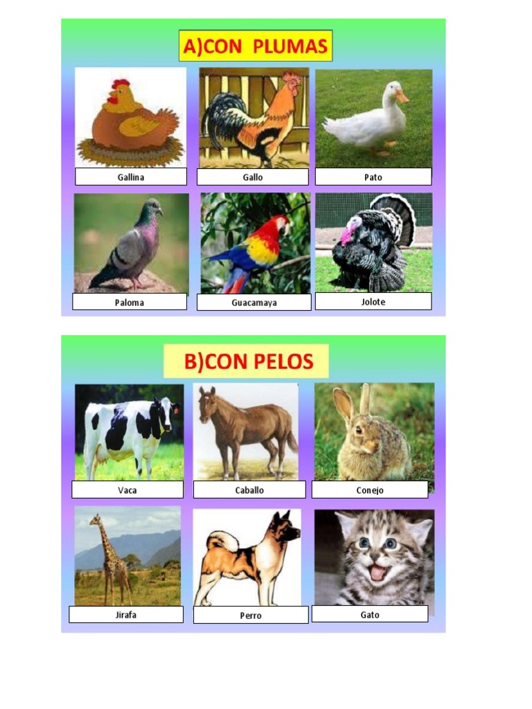 Animales Con Escamas, Plumas y Pelos | PDF