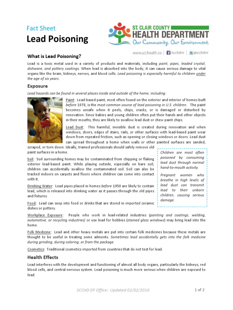 Lead Poisoning | PDF | Lead | Medical Specialties