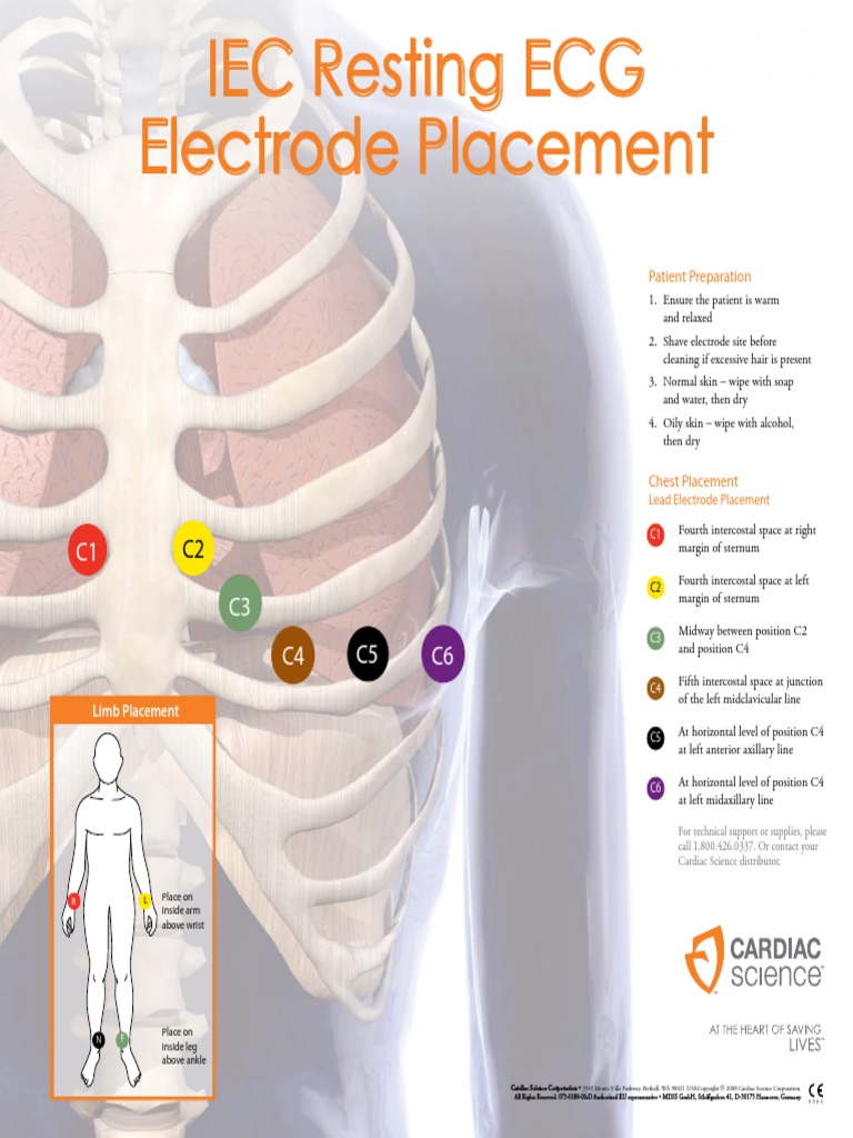 IEC Resting ECG Electrode Placement: C3 C4 C5 C6 C1 | PDF | Thorax ...