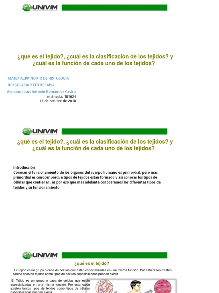 Introducción a la Histología | PDF | Epitelio | Tejido conectivo