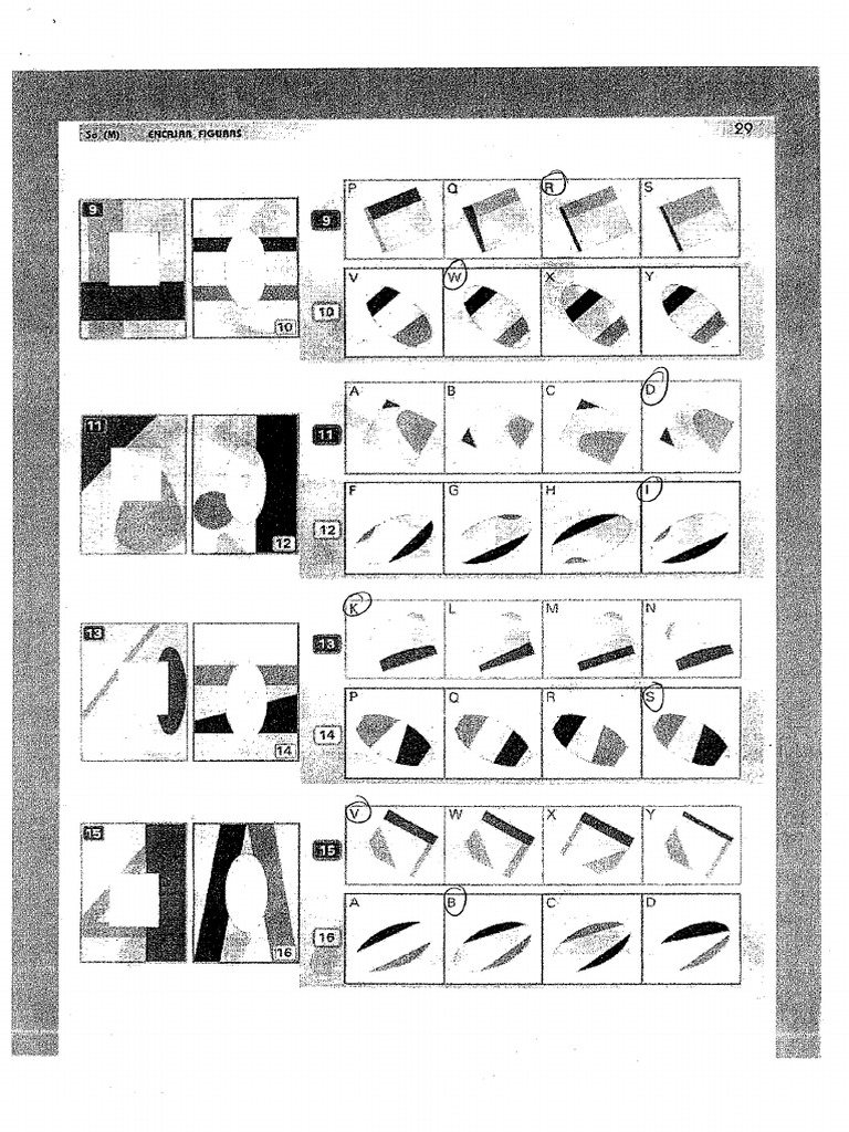 Badyg-M (Renovado) 4 PDF | PDF