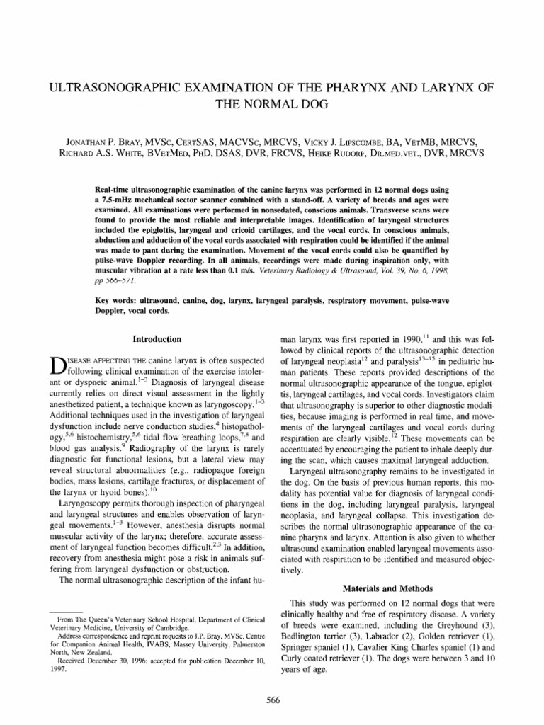 Ultrasonographic Examination of The Pharynx and Larynx of The Normal ...