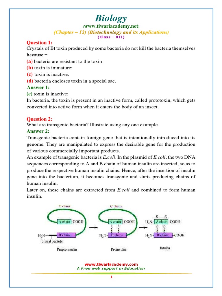 Biology: (Class - XII) | PDF | Genetically Modified Organism | Genetic ...