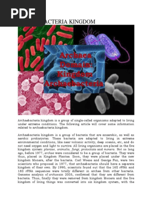 Kingdom Archaebacteria Six Kingdom Nomenclature Cards From Montessori