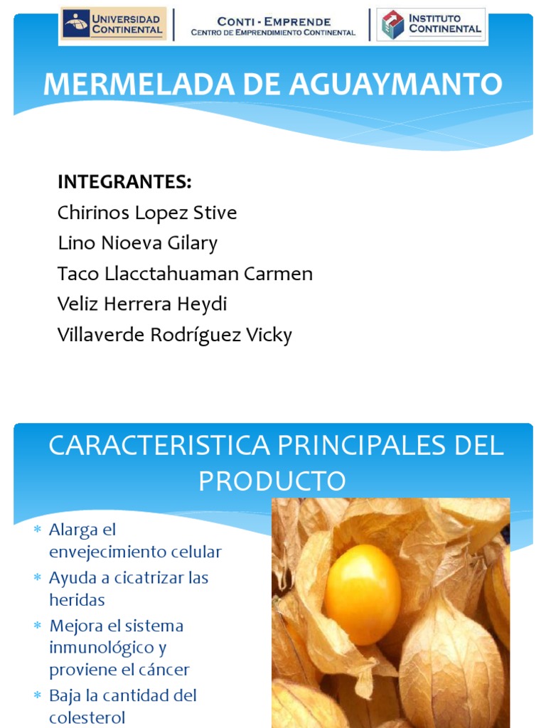 Proyecto de Mermelada de Aguaymanto | PDF