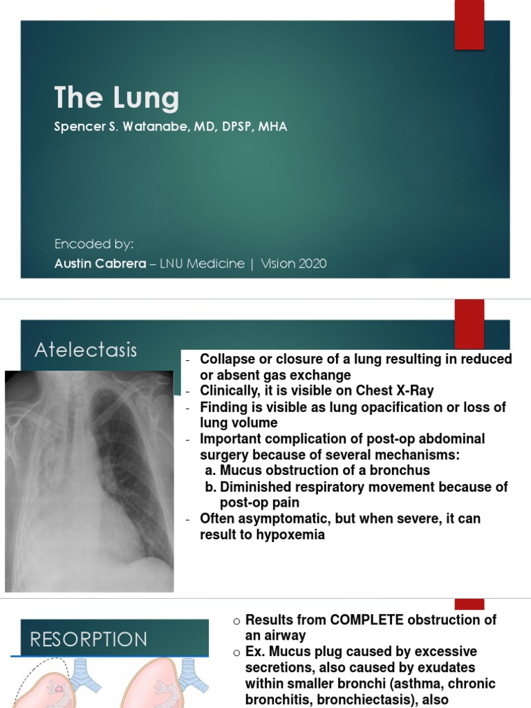 The Lung Pathology Lab Encoded PDF | PDF | Pneumonia | Chronic ...