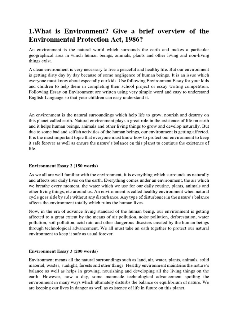 Environment Essay | PDF | Natural Environment | Pollution