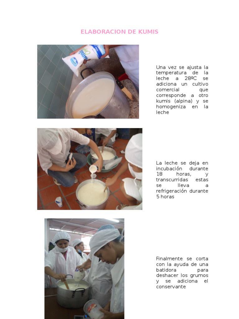 Proceso Grafico Kumis | PDF
