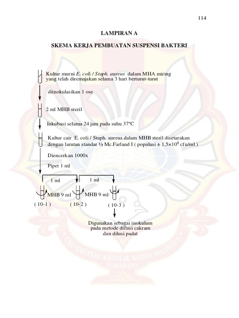 Judul yang tepat untuk dokumen ini adalah "Skema Kerja Uji Antibakteri ...