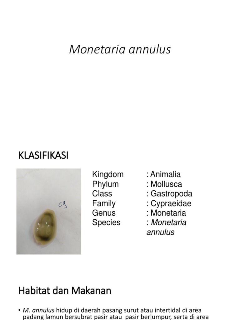 M. Annulus Dan H. Ternatus | PDF