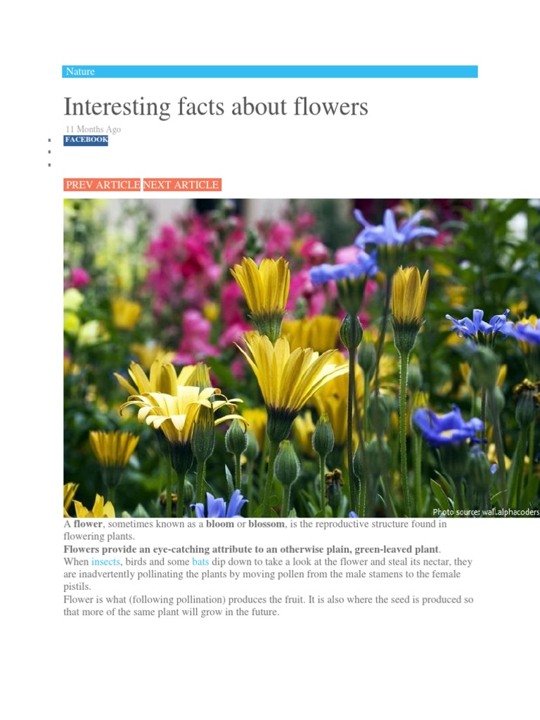 Interesting Facts About Flowers: Nature | PDF | Flowers | Plants