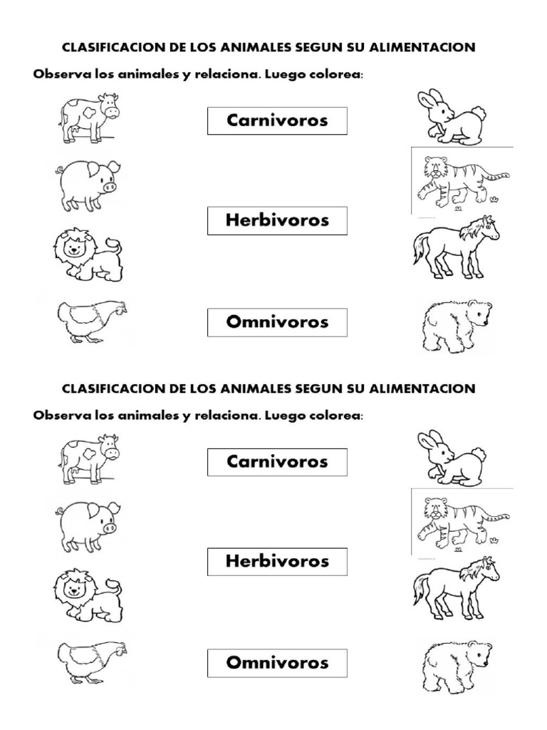 Clasificacion de Animales Segun Su Alimentacion
