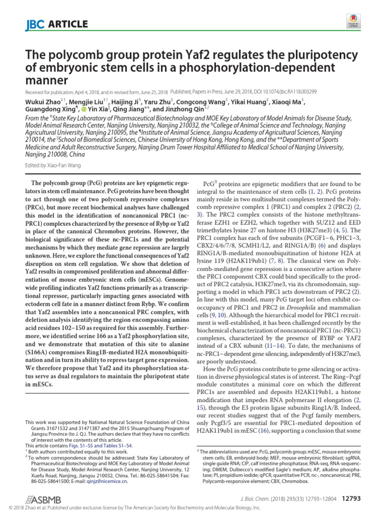 The Polycomb Group Protein Yaf2 Regulates The Pluripotency of Embryonic ...