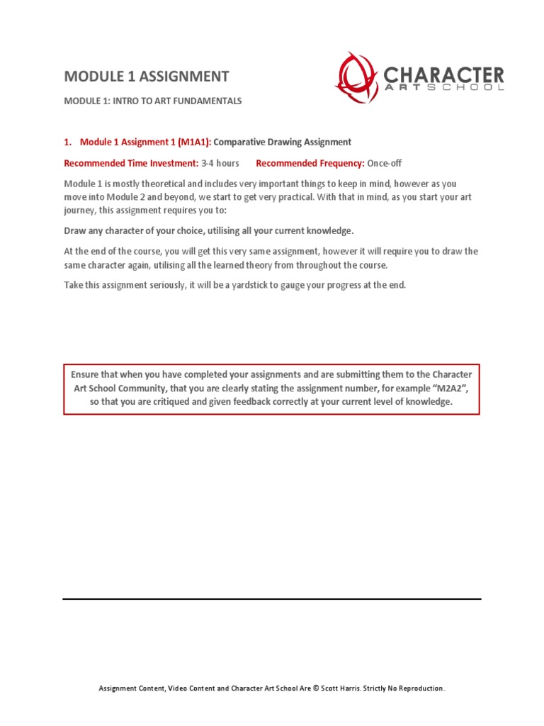 Module 1 Assignment PDF | PDF