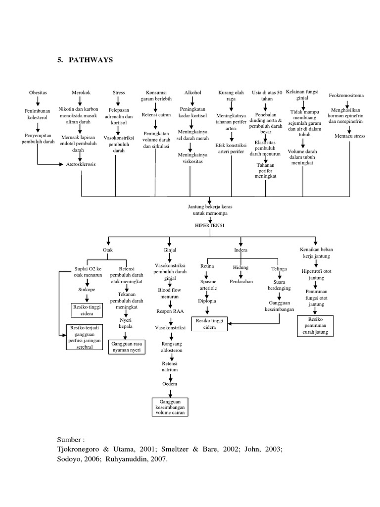 Pathway Hipertensi | PDF