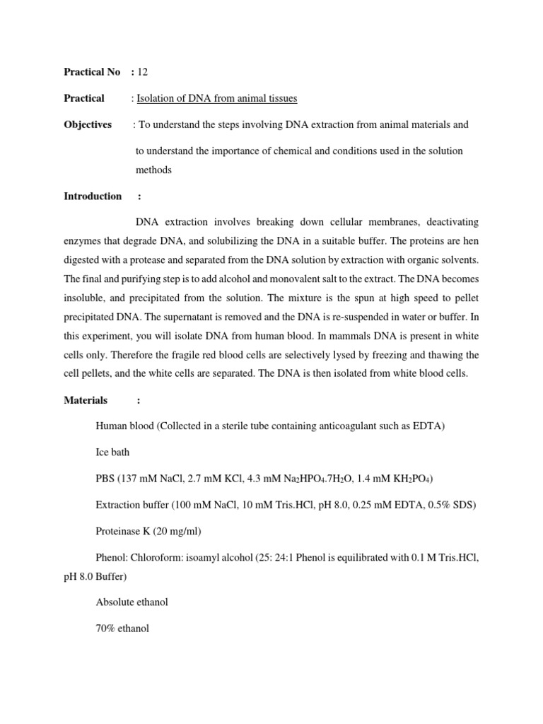 Isolation of DNA From Animal Tissues | PDF | Mitochondrion | Cell Nucleus