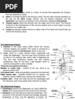 Rat Dissection | PDF | Anatomical Terms Of Location | Gastrointestinal ...