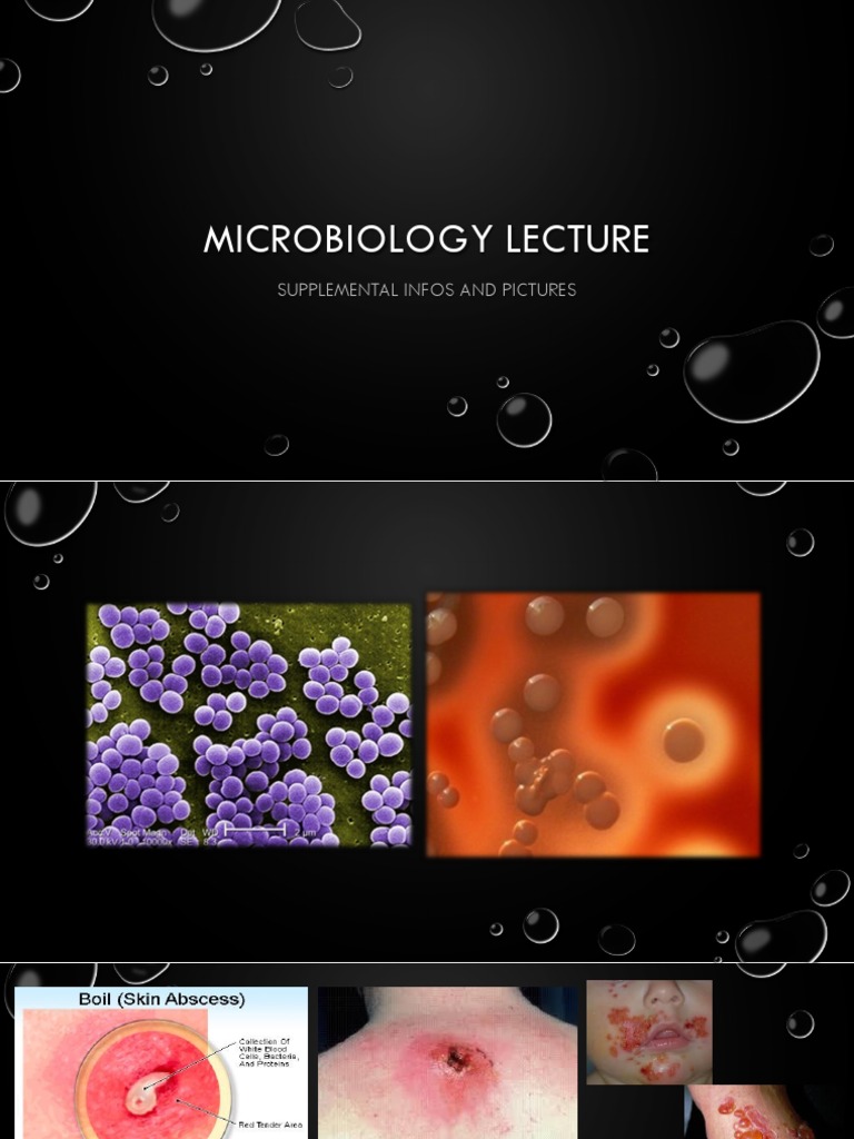Microbiology Lecture: Supplemental Infos and Pictures | PDF